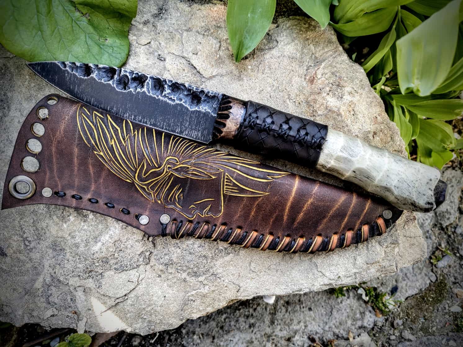 Alex Nord- ალექს ნორდ